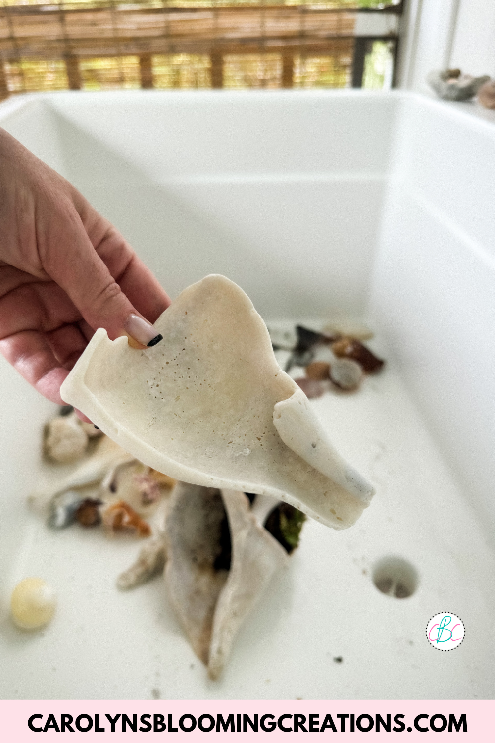 How to Make a Seashell Succulent Planter — DIY Home Improvements ...