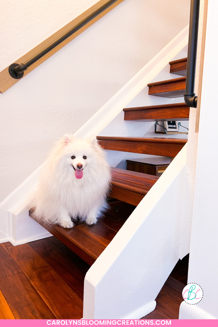 Quick and Easy Pipe and Wood Handrail — DIY Home Improvements Carolyn's ...