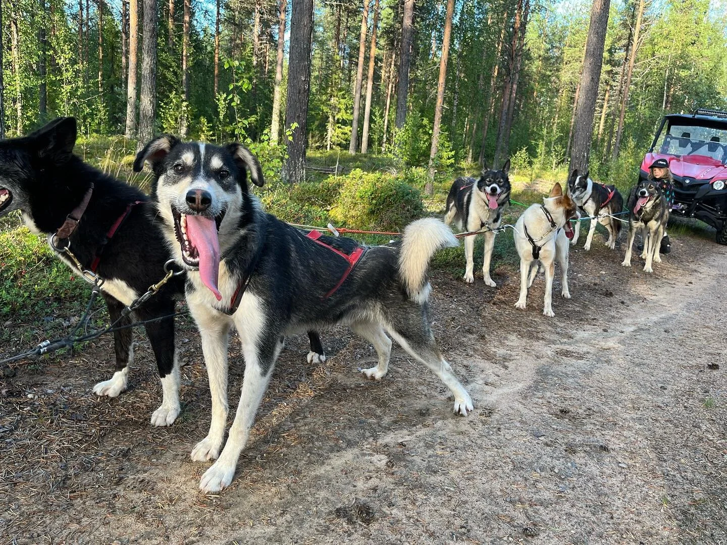 Contact information — Husky Ranch Lapland