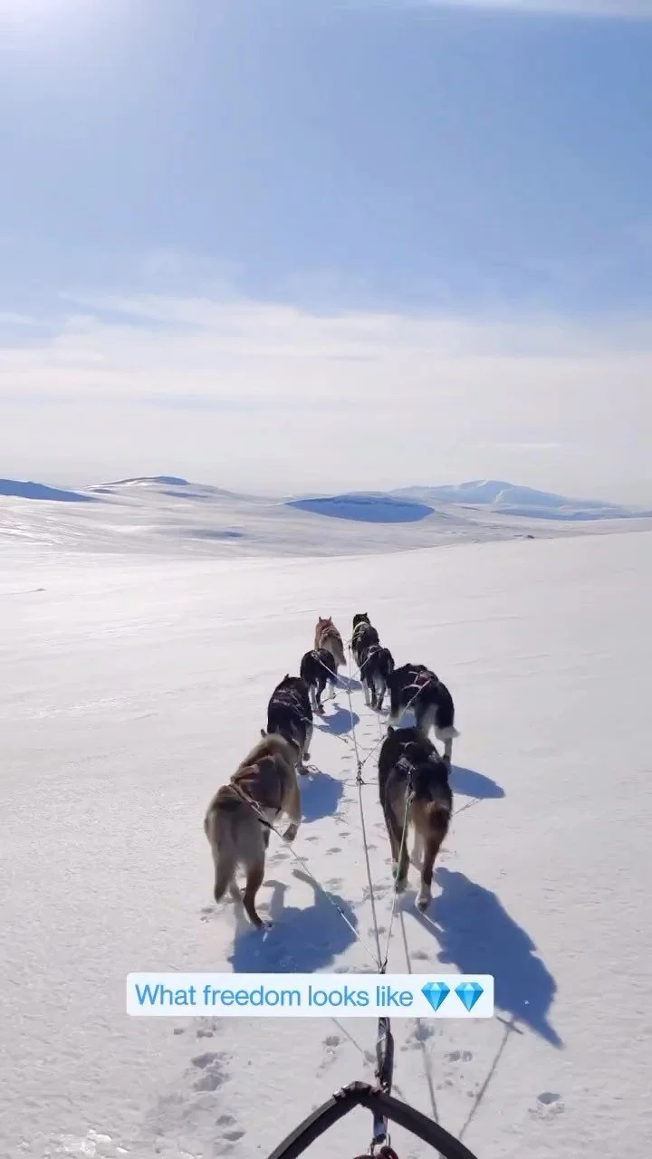 Contact information — Husky Ranch Lapland