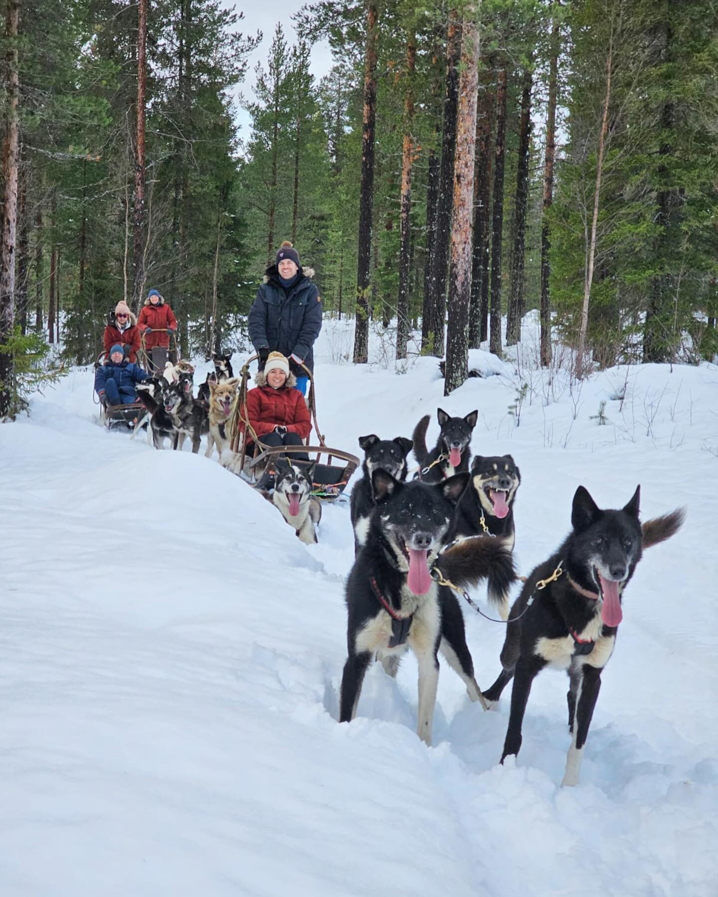 Contact information — Husky Ranch Lapland