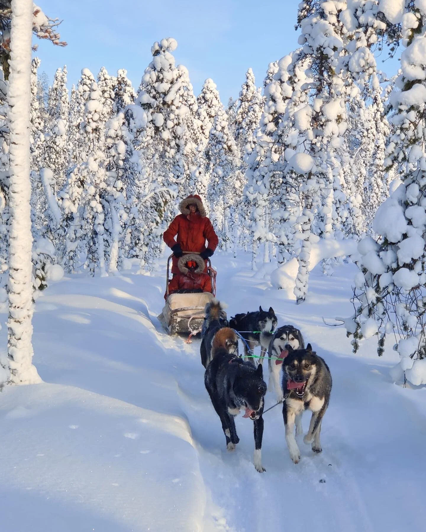 Contact information — Husky Ranch Lapland