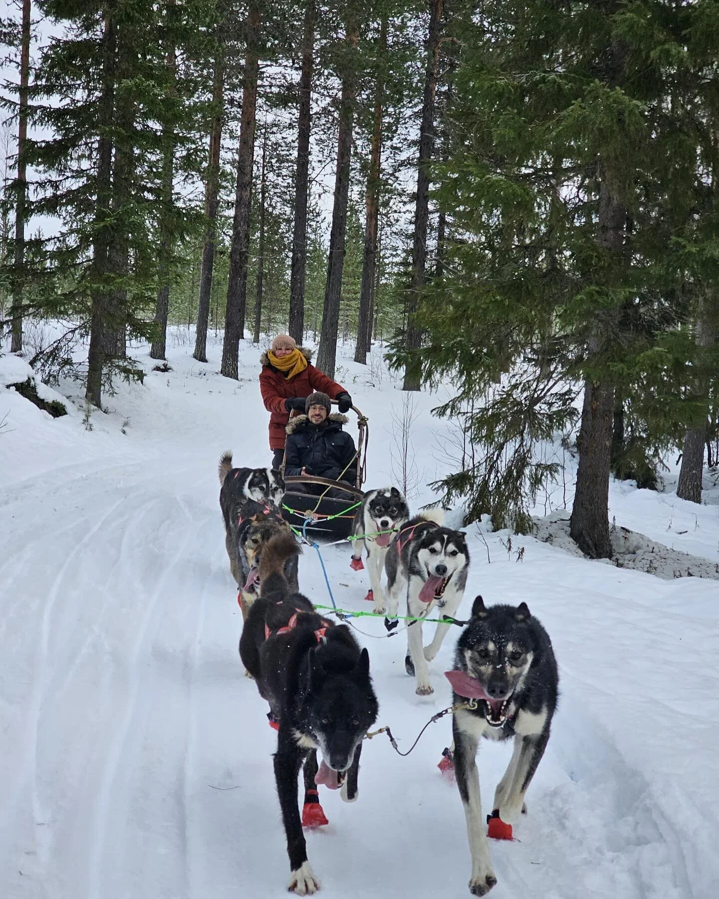 Contact information — Husky Ranch Lapland