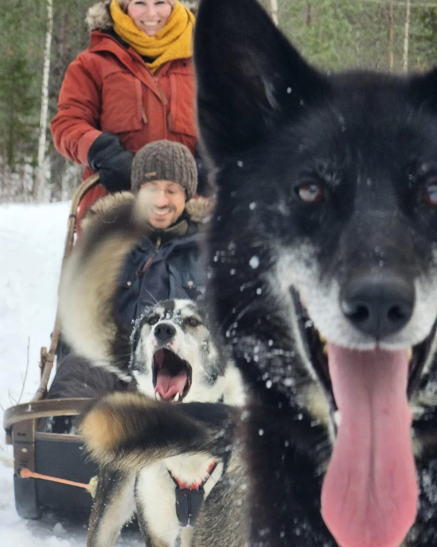 Contact information — Husky Ranch Lapland