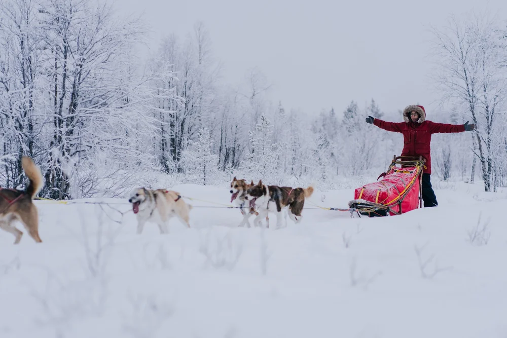 Husky Ranch Lapland