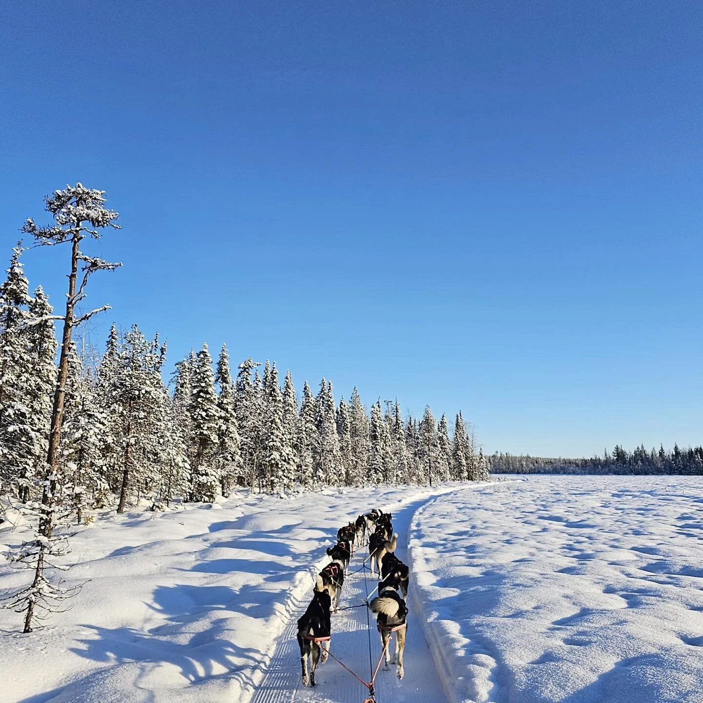 Contact information — Husky Ranch Lapland