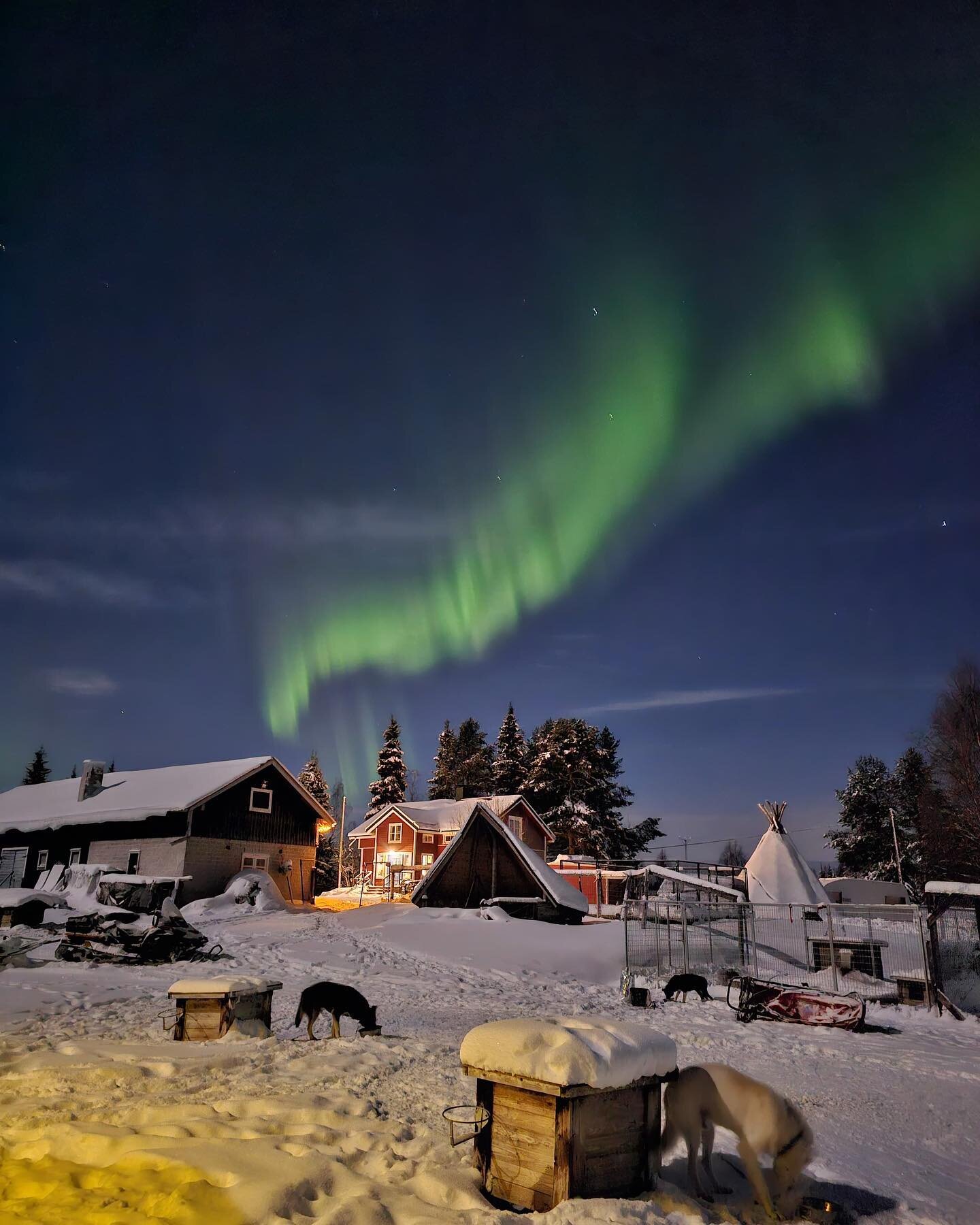 Contact information — Husky Ranch Lapland