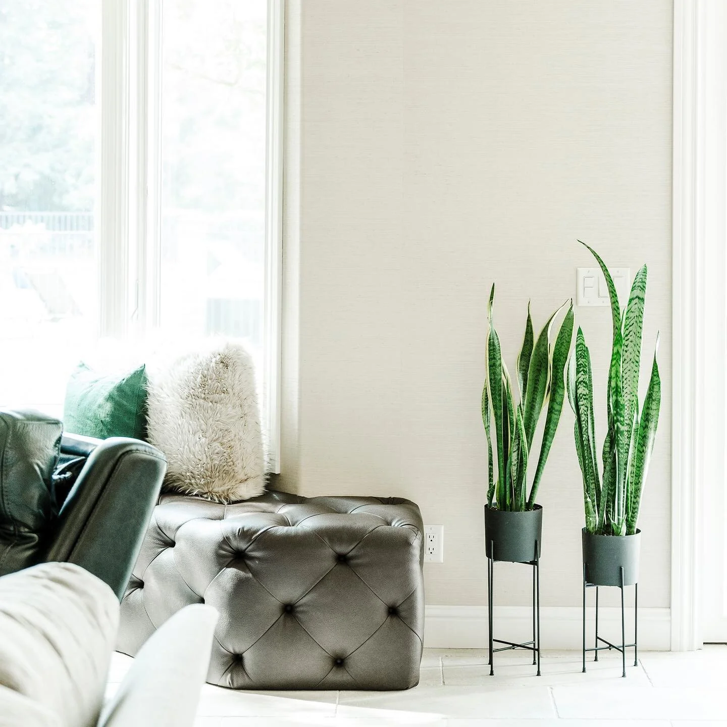 interior + design | dlb design