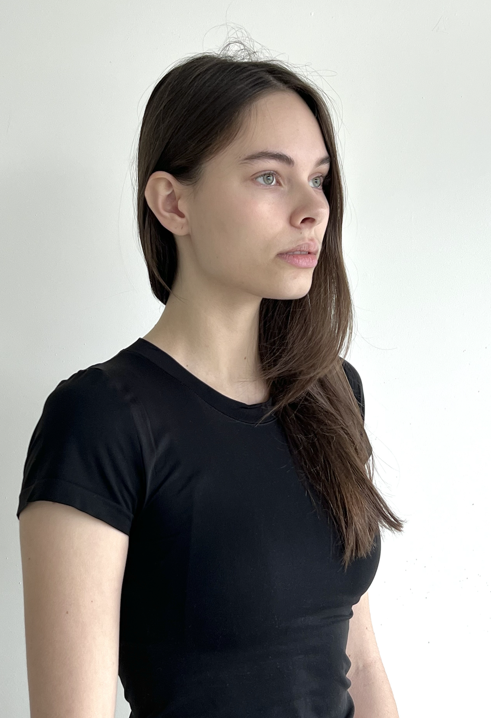 SACHA d — DEJAVU Model Management