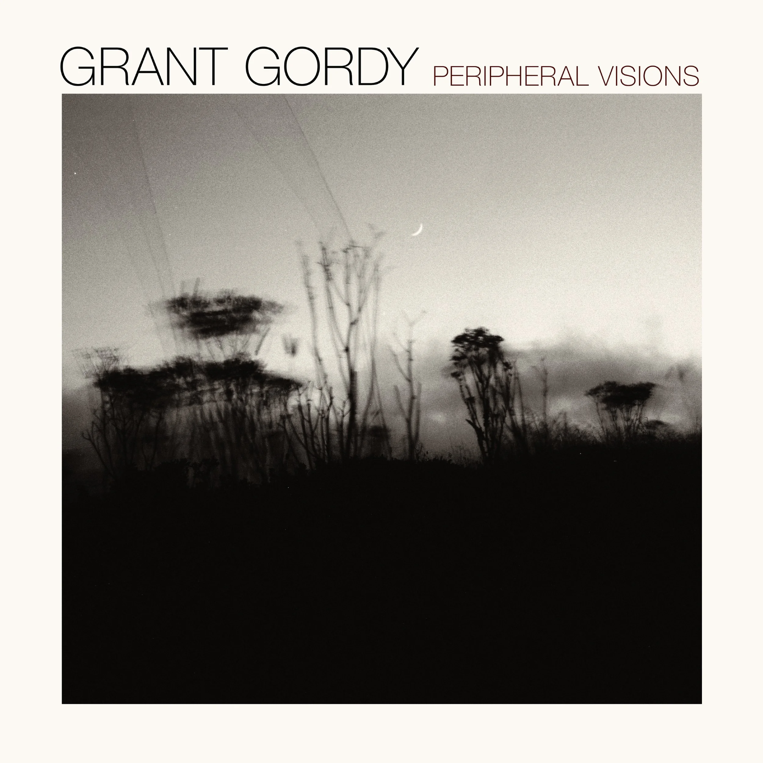 Peripheral Visions — Grant Gordy