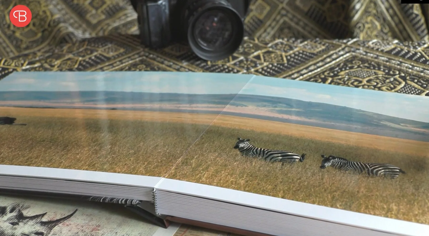 BONTIA Echtfotobücher Premium mit Layflat Bindung | Erstklassige Ausführung