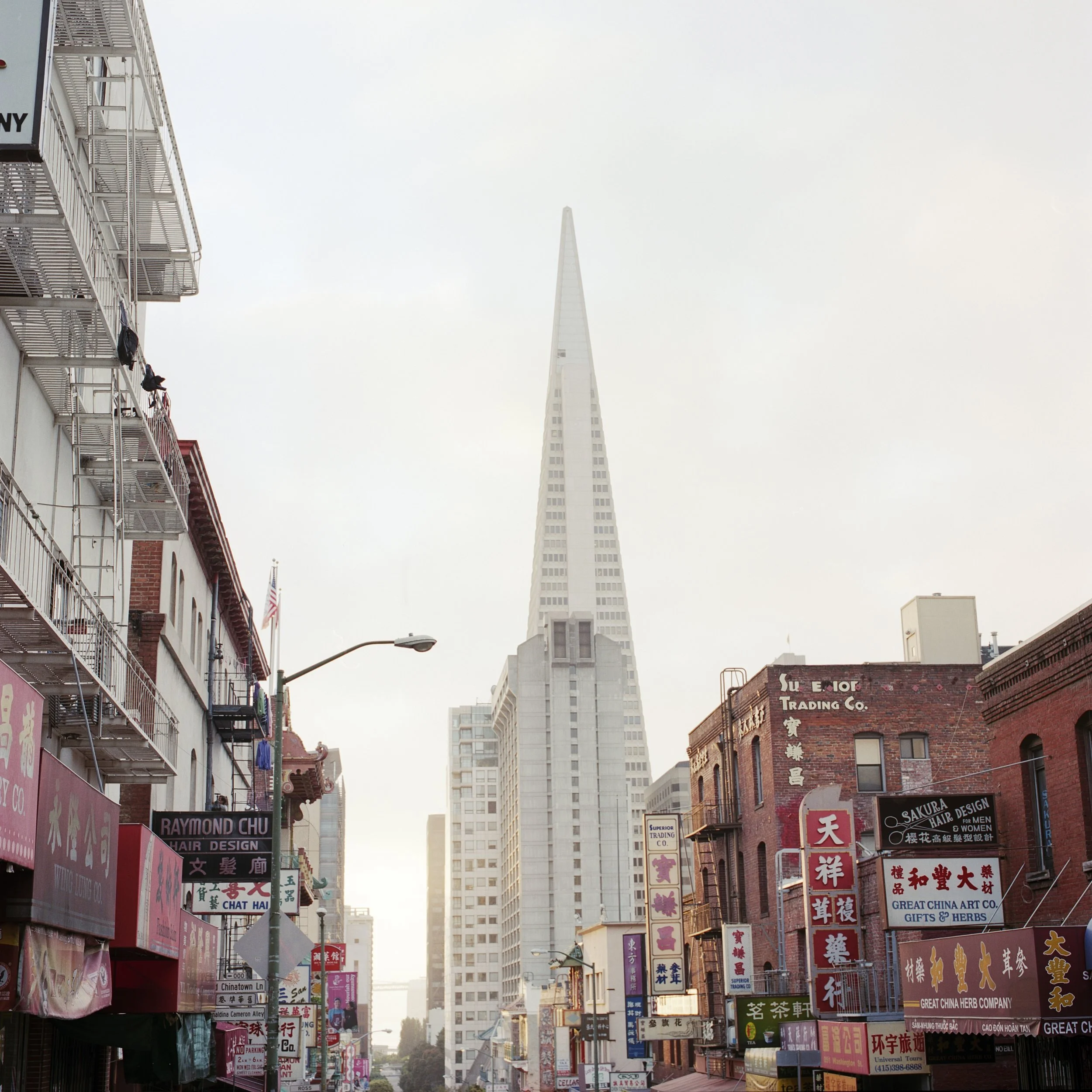 Color Negative Scanning Example No.2 — Sebastian Schlueter