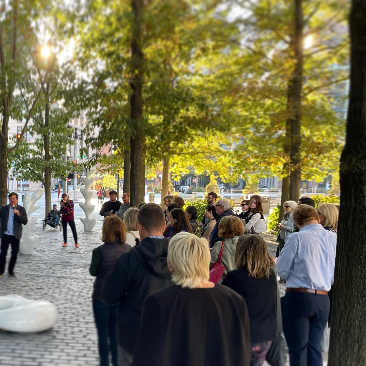 A landscape decoded — KATE GILBERT STUDIO