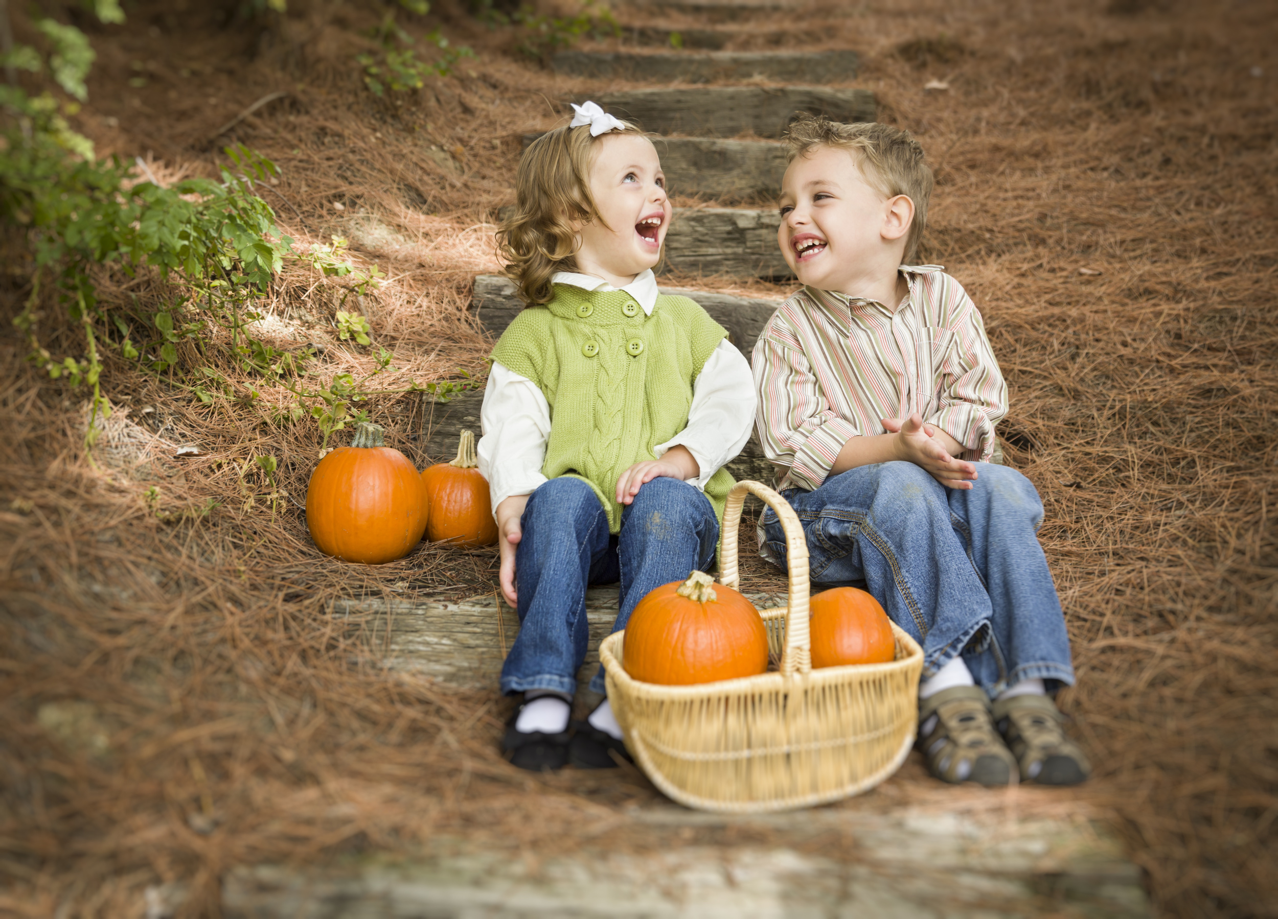 5 Tips for DIY Fall Photoshoots | Shortcake Albums