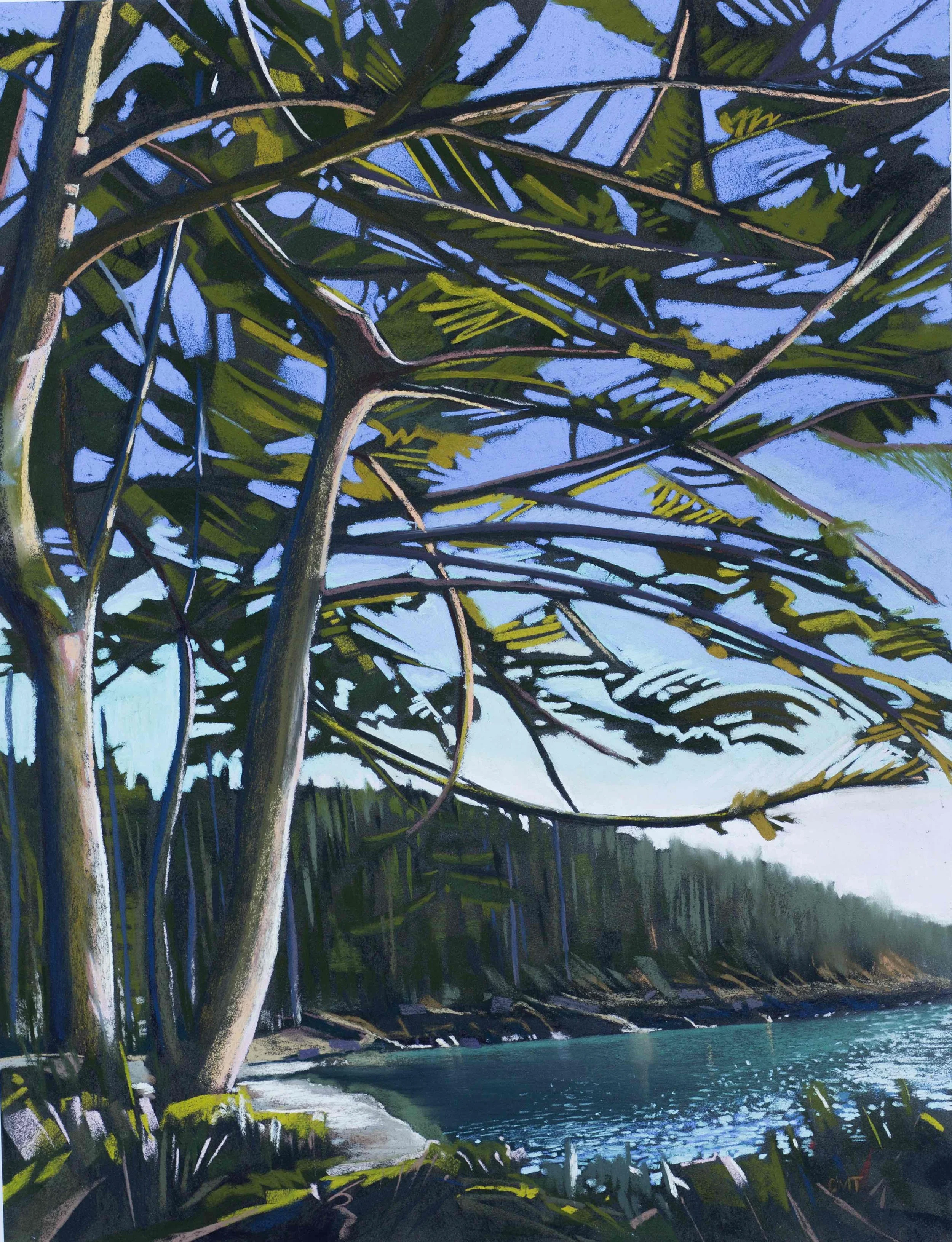 Carrie Moore Studios