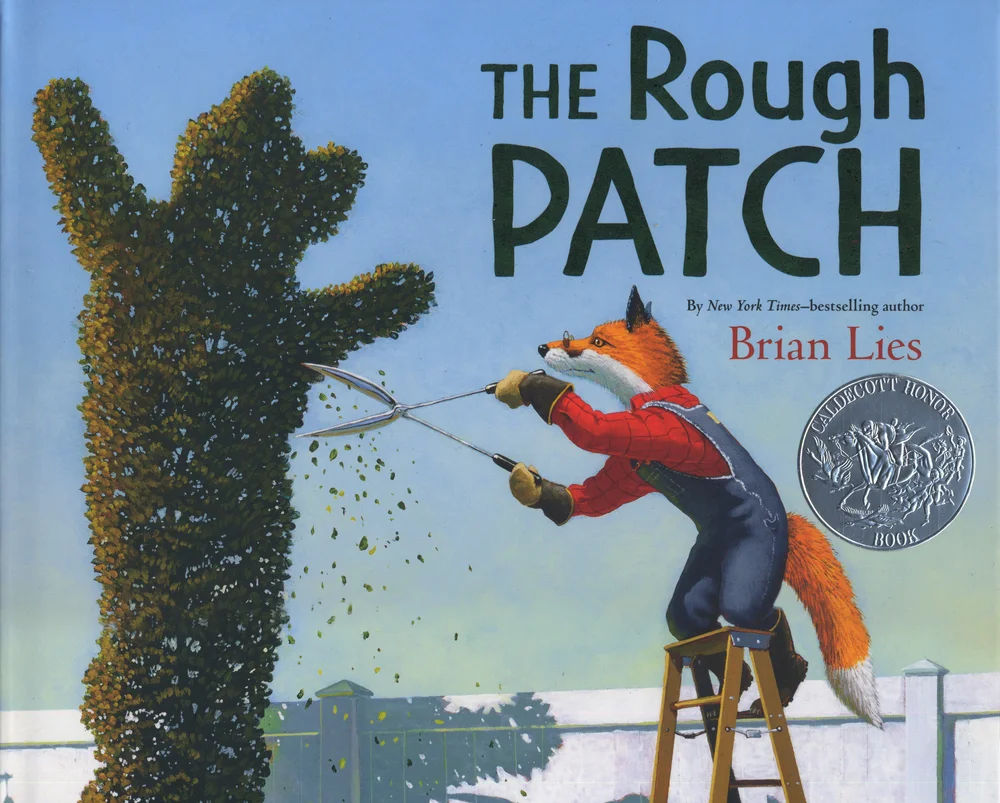 The Rough Patch Brian Lies