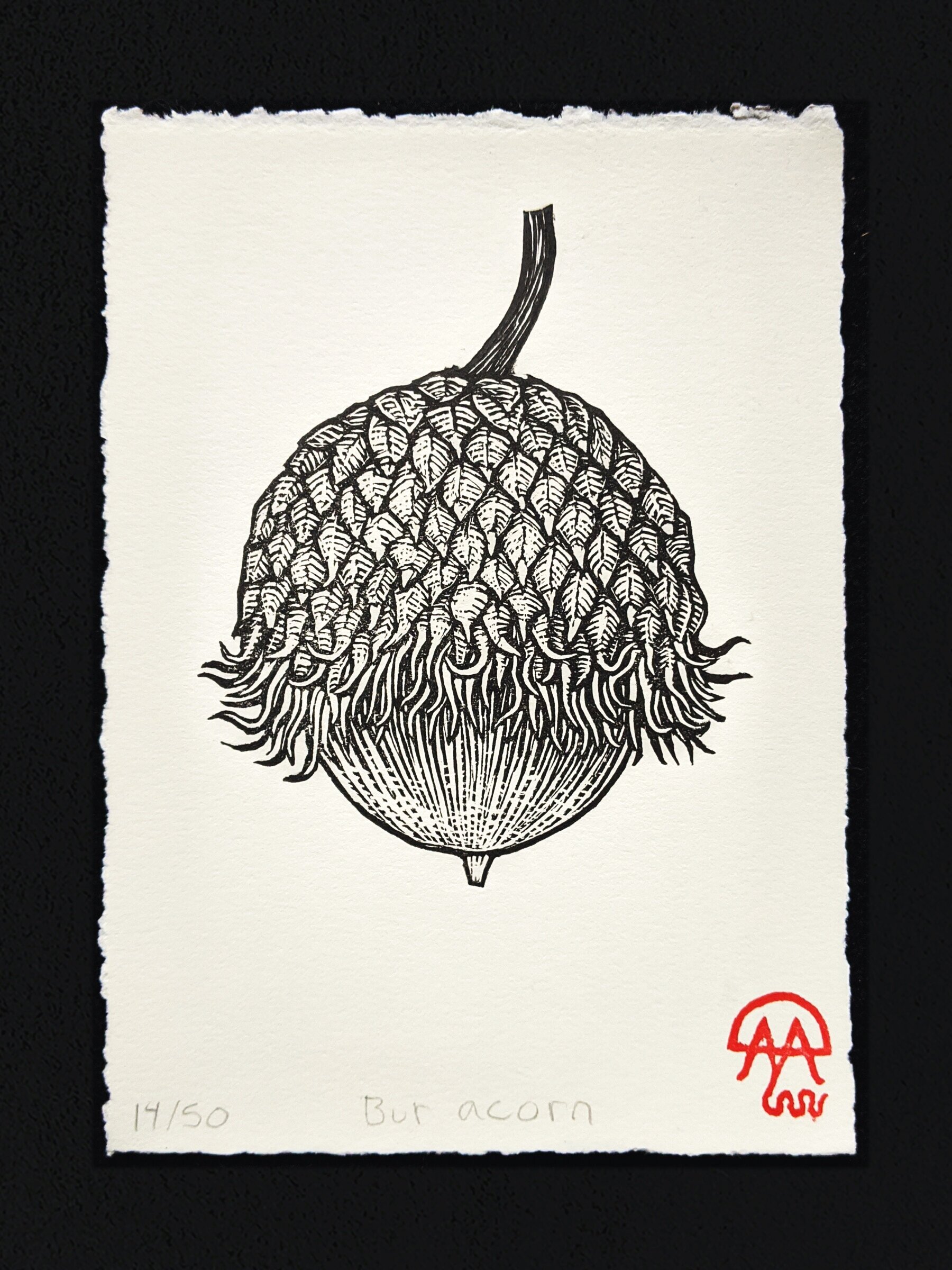Anomal Press - Fine art relief prints