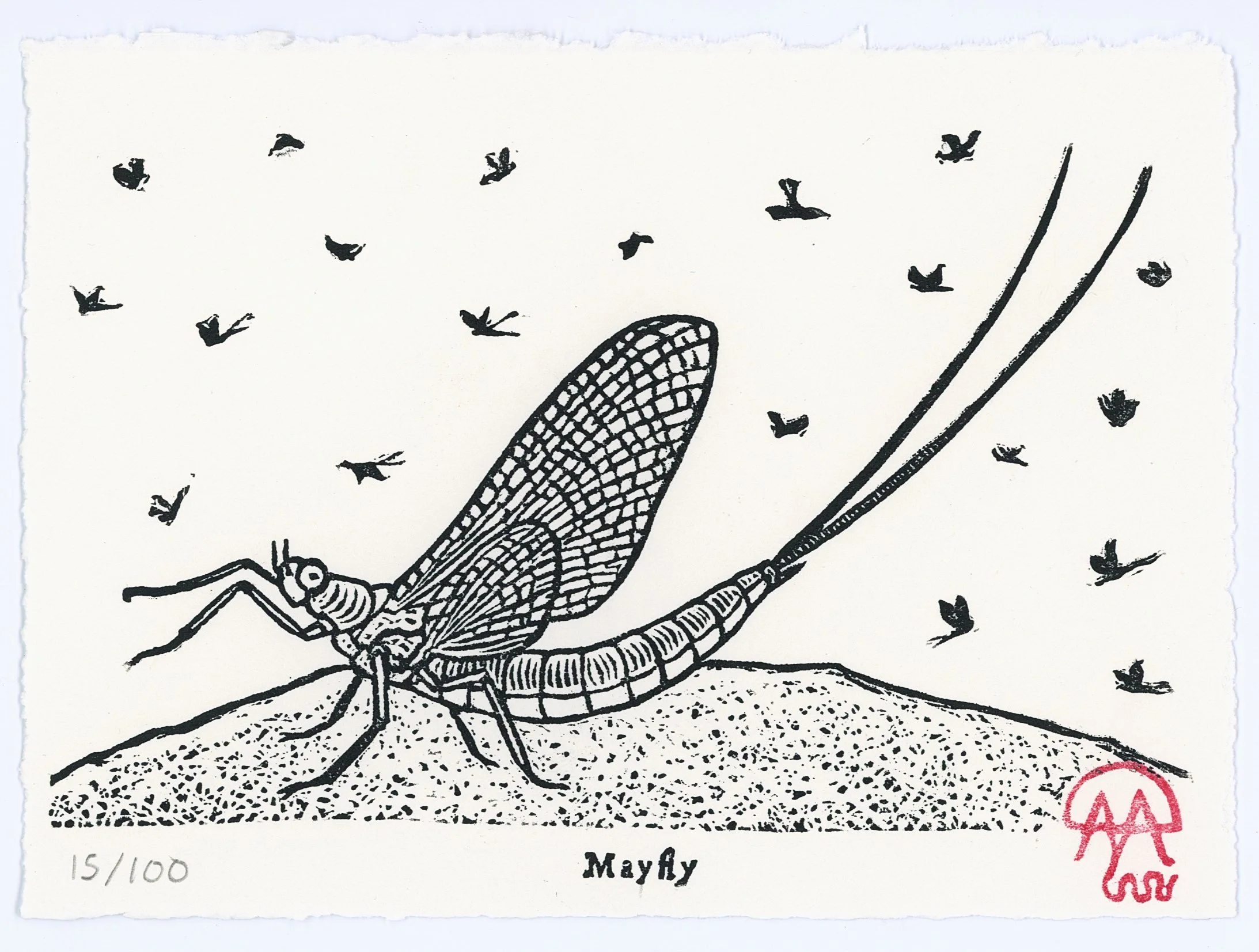 Anomal Press - Fine art relief prints