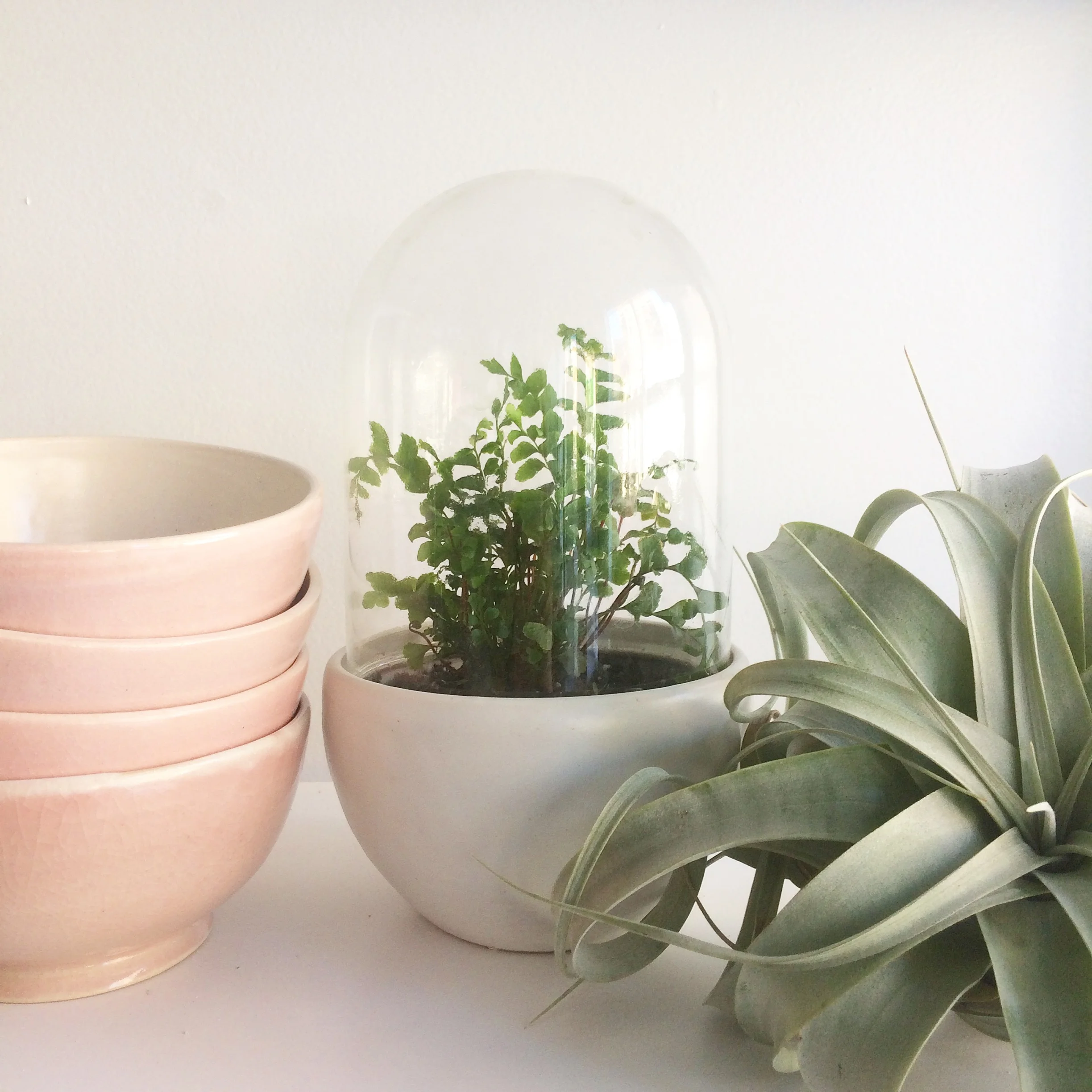 Large Glass Cloche Terrarium — LITTLE FIRE CERAMICS