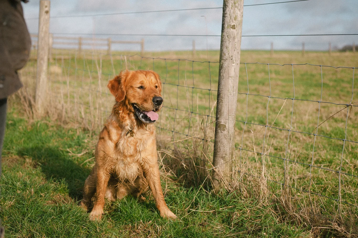 Fujifilm Pro 400H 35mm: Timeless Film Aesthetic with PICTS Lab Presets ...