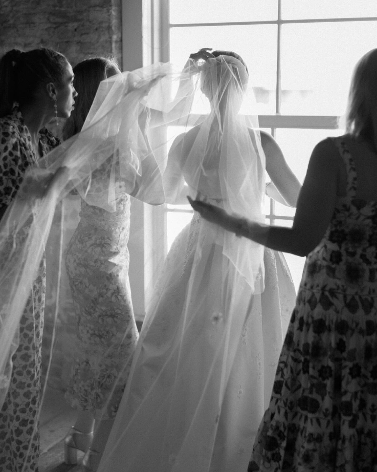 Portfolio | McKenzie Coyle Photography