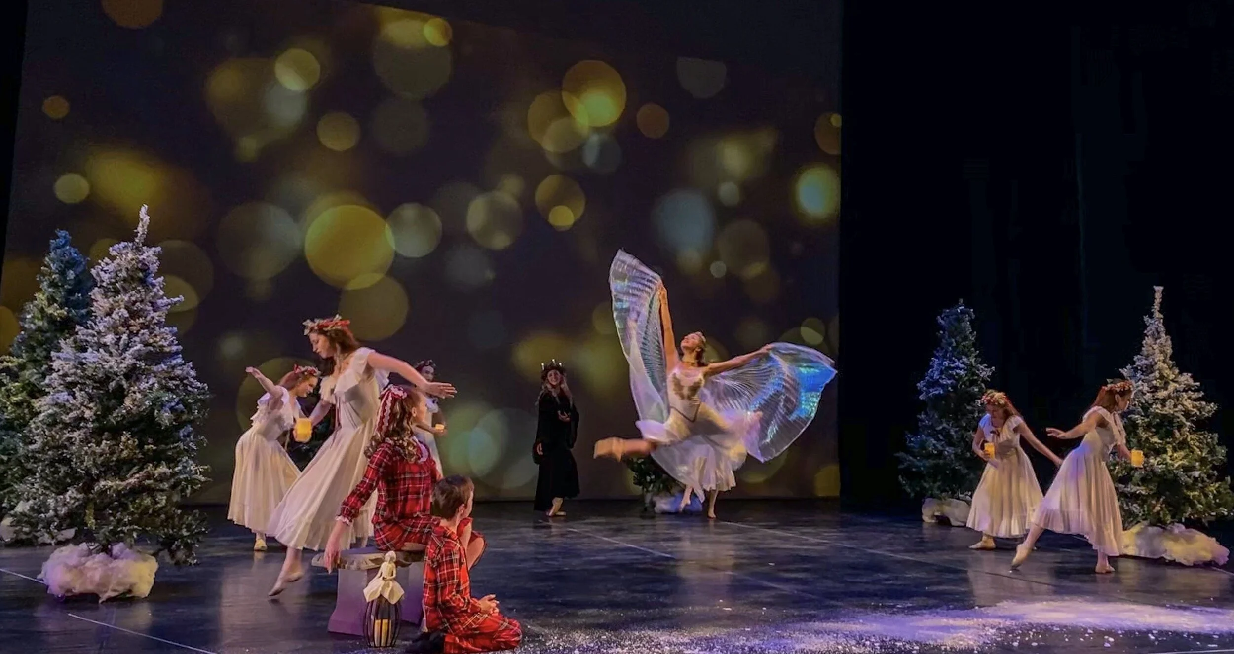 Welcome to Pacific Festival Ballet!