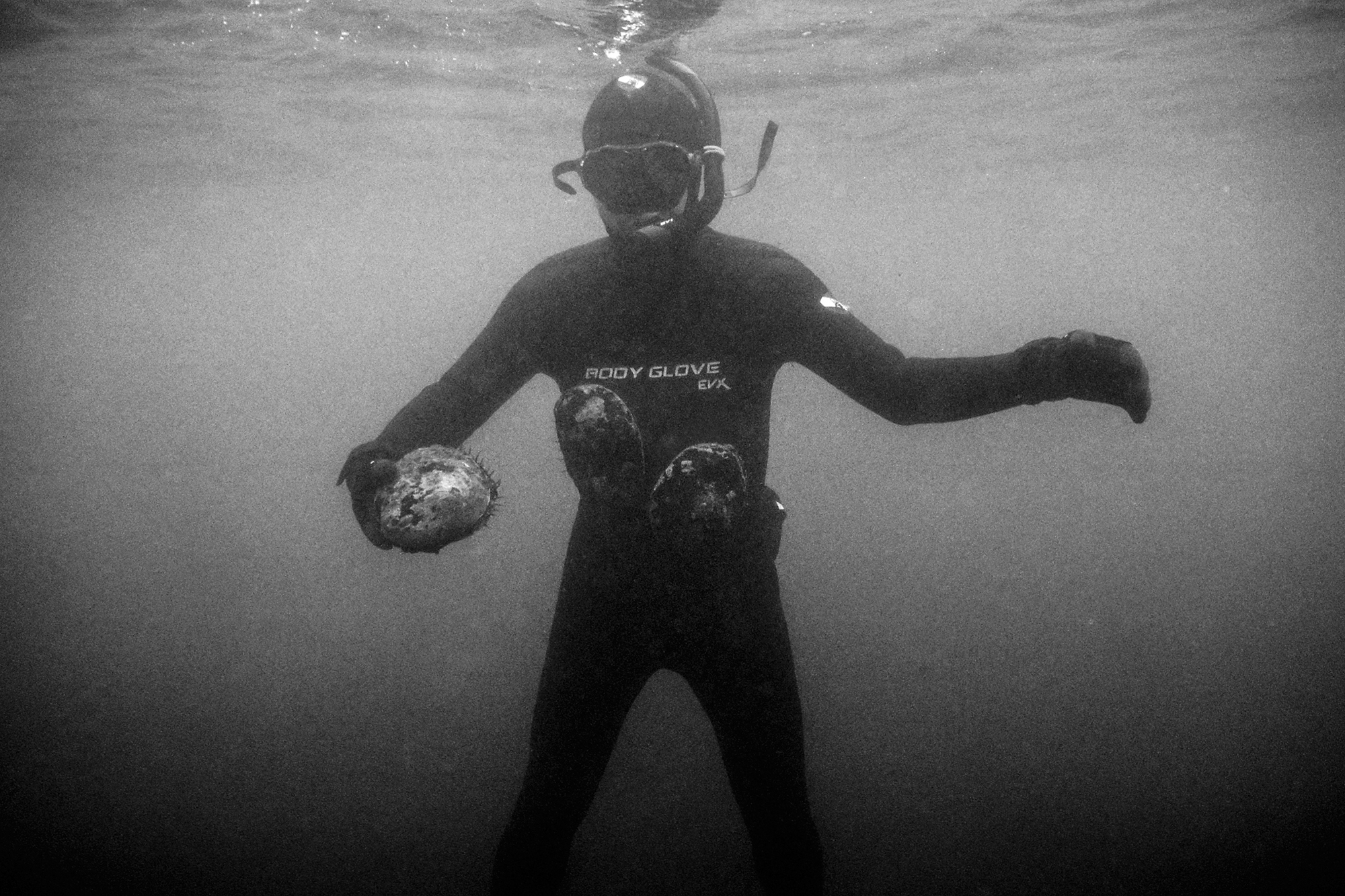 George E. Baker Jr.-Abalone Dive with Bit By Zeus