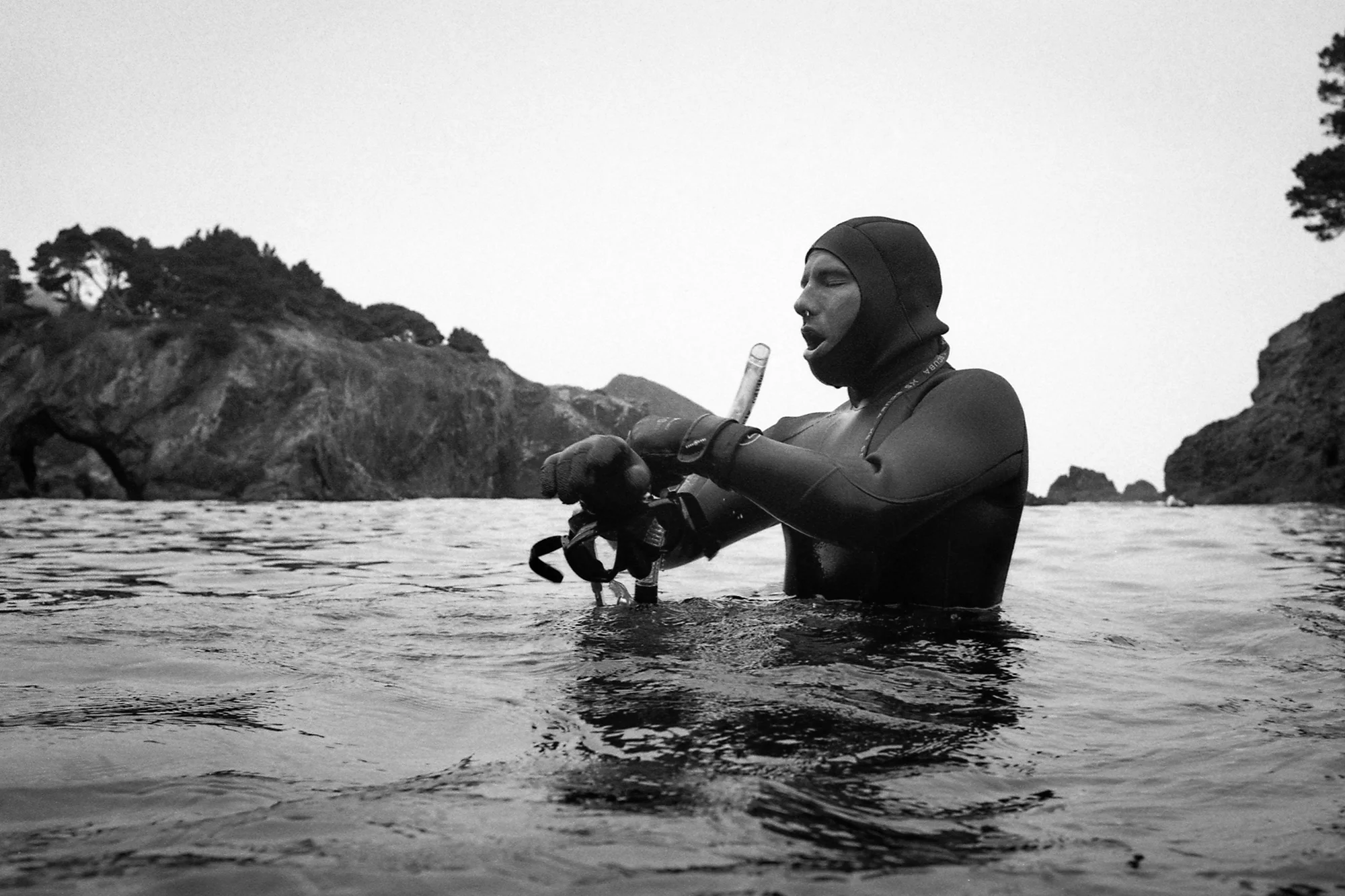George E. Baker Jr.-Abalone Dive with Bit By Zeus