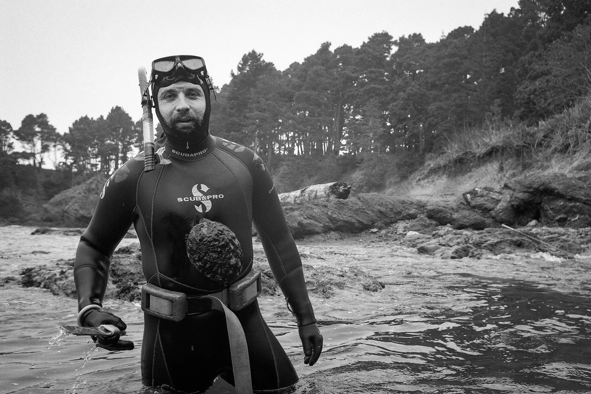 George E. Baker Jr.-Abalone Dive with Bit By Zeus