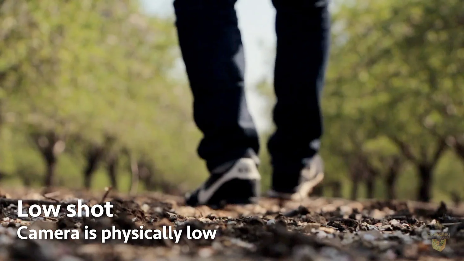 Different Types Of Camera Shots And Angles — Pixel Valley Studio