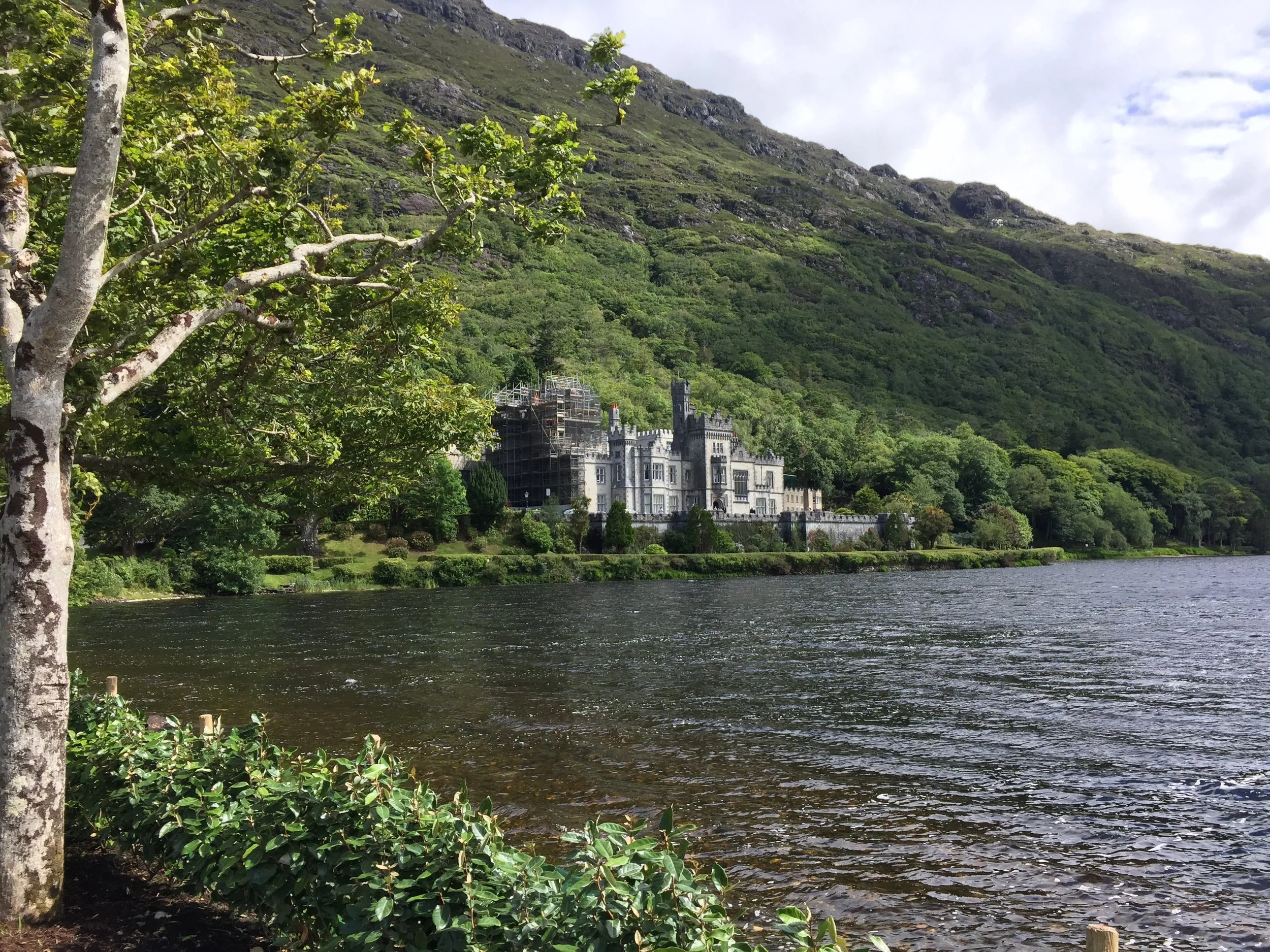 Gallivanting in Green: Ireland — Green Grass Girl