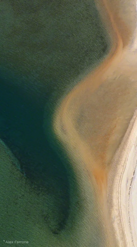 Current, Upcoming, and Past Exhibitions — Alex Ferrone, Fine Art ...