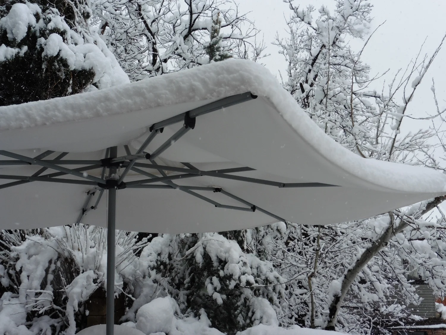 Gallery — ARTiculatedshade