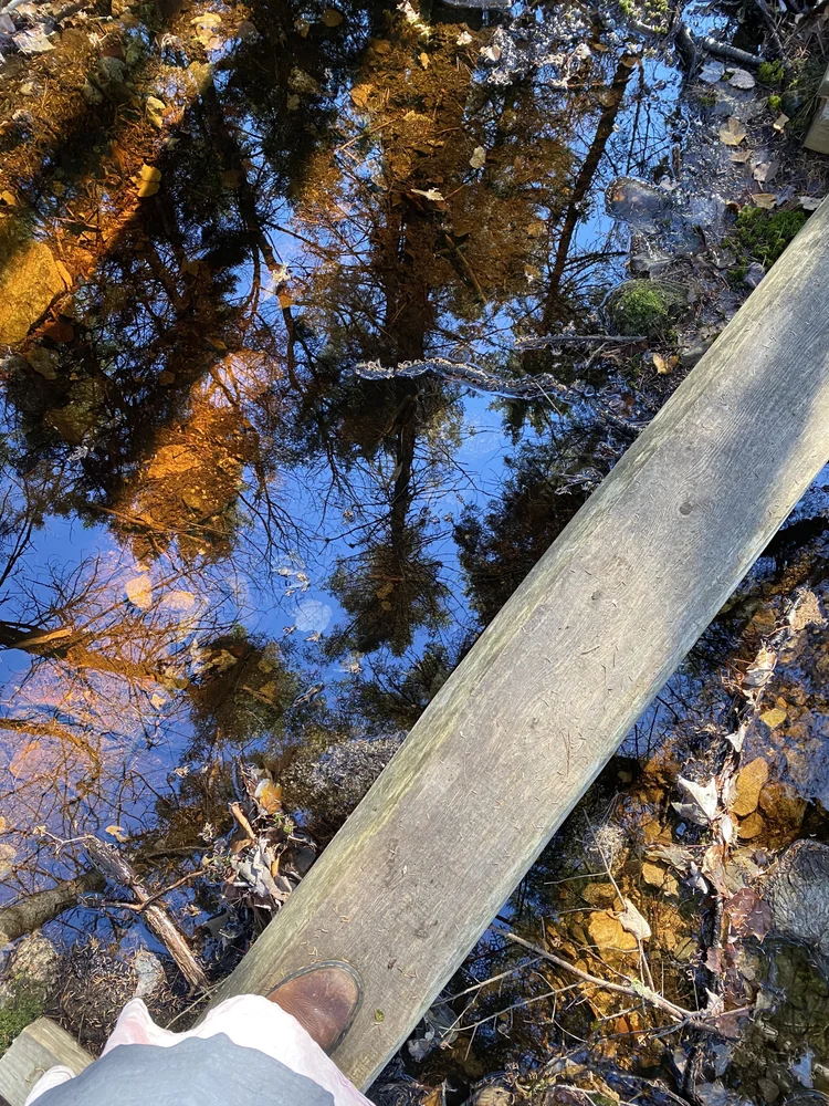 Social Wellbeing – The Nurtured Life