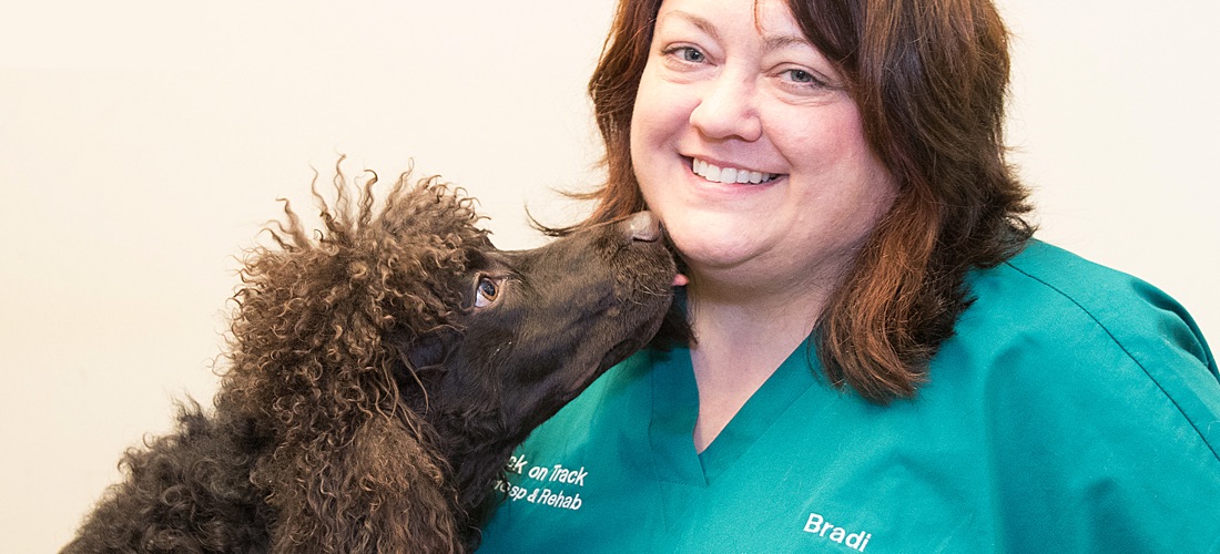 Back on Track Veterinary Hospital in O'Fallon, MO