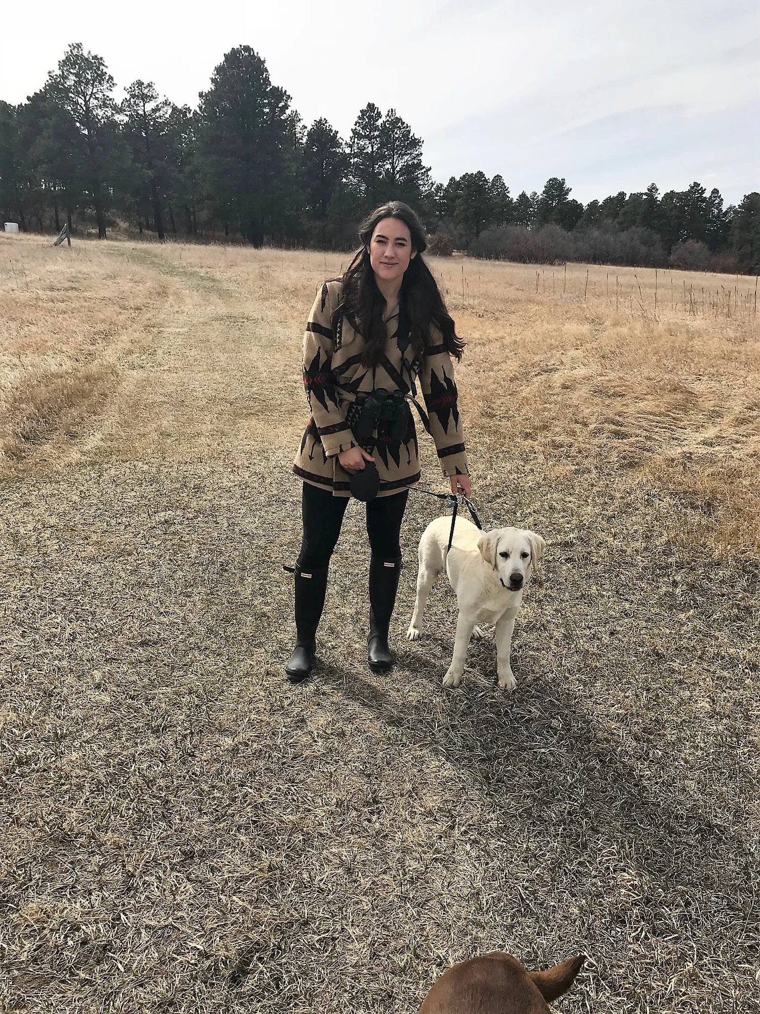 The Girls — Heatherdowns Labradors, Ltd