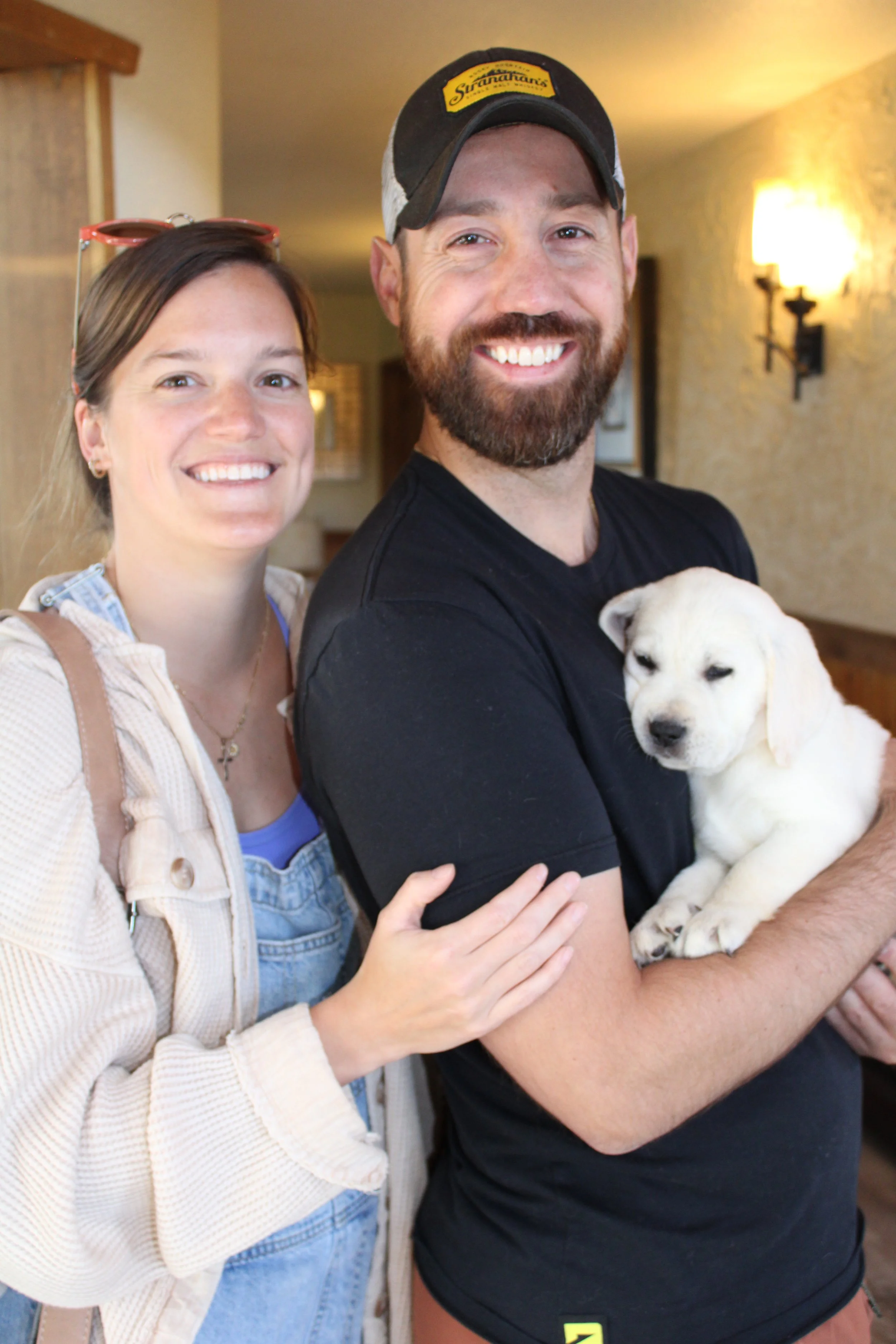 Upcoming Litters — Heatherdowns Labradors, Ltd