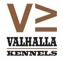 Puppy Training & Hunting Programs — Heatherdowns Labradors, Ltd