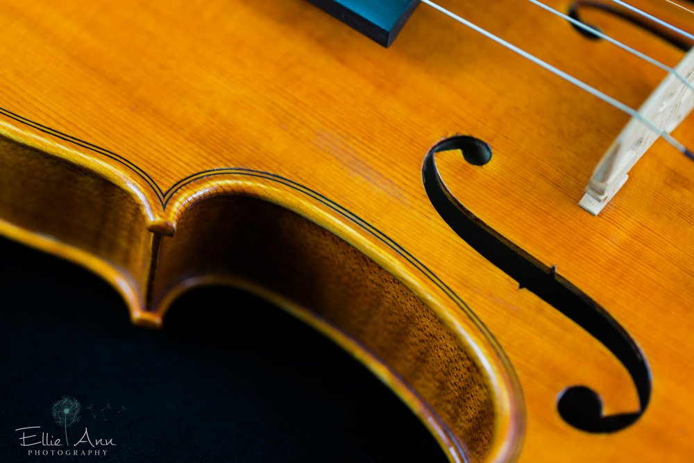 Violin Session — Ellie Ann Photography