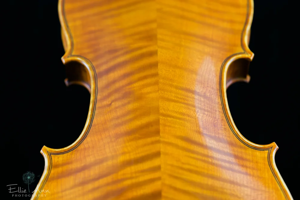 Violin Session — Ellie Ann Photography