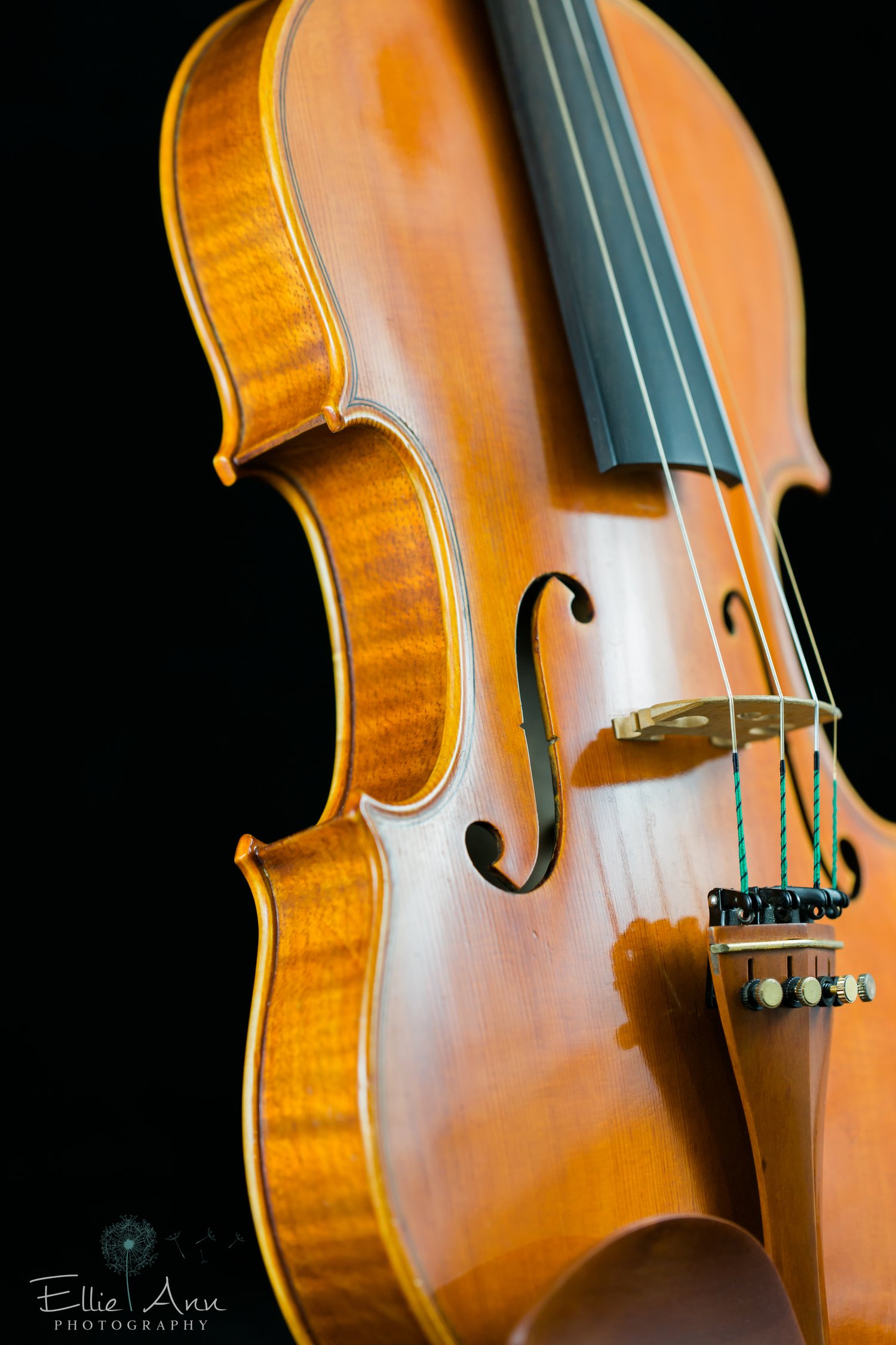 Violin Session — Ellie Ann Photography