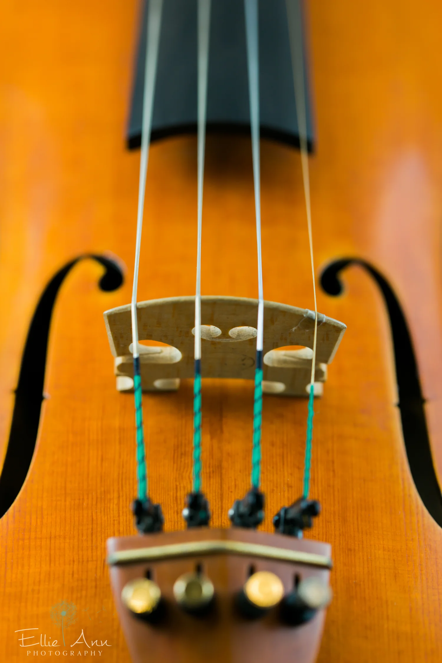 Violin Session — Ellie Ann Photography