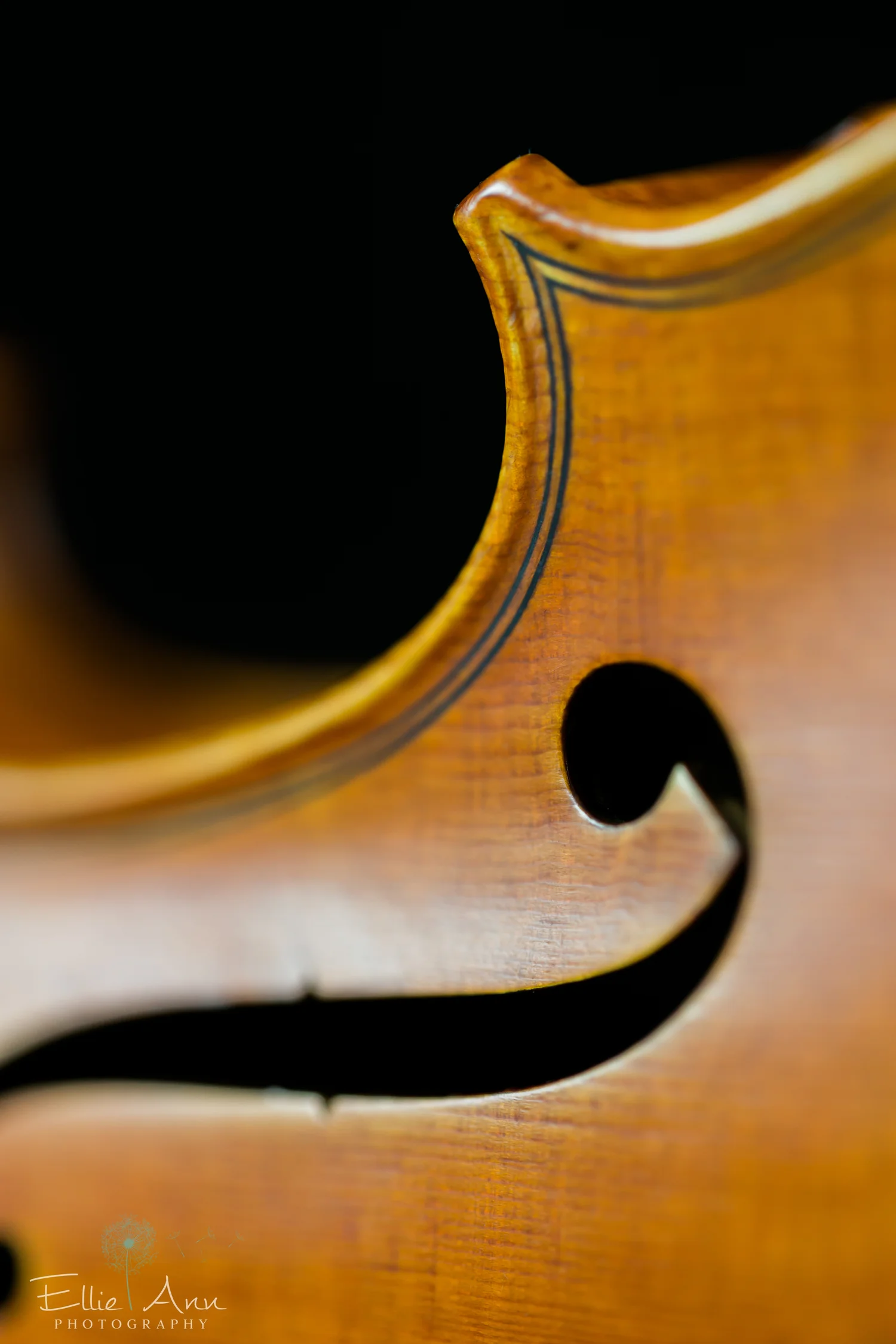 Violin Session — Ellie Ann Photography