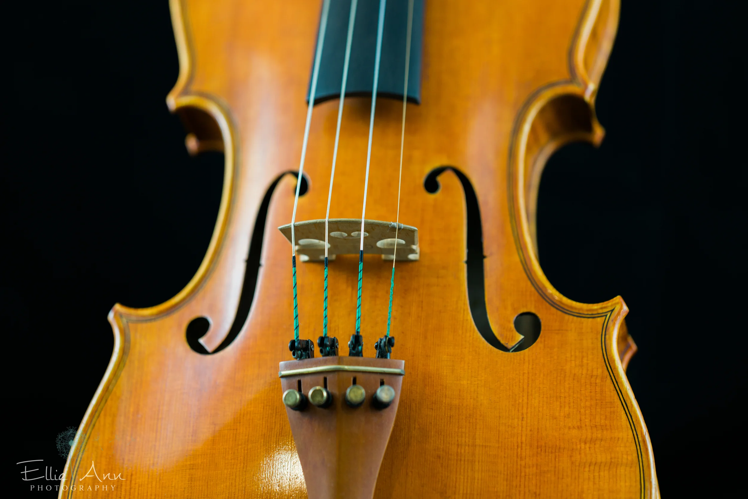 Violin Session — Ellie Ann Photography