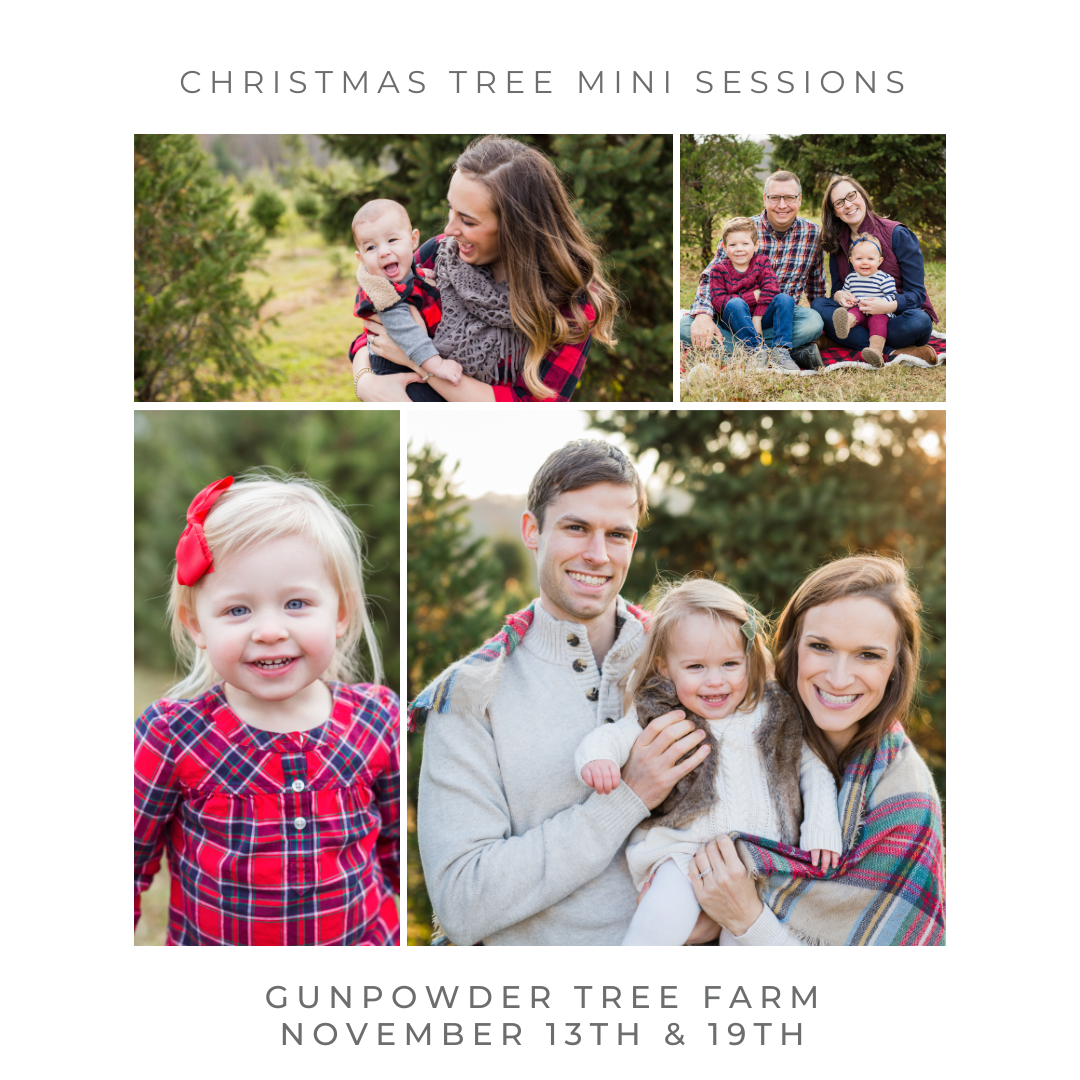 CHRISTMAS TREE MINI SESSIONS — Ellie Ann Photography