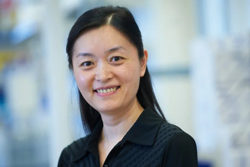 Alumni — Johanna Joyce Lab