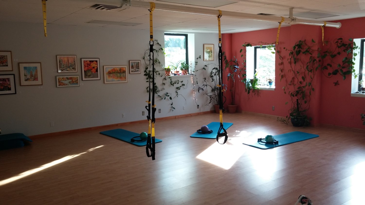 Pilates & TRX Classes, Massage Therapy & Wellness: Clinton, NY