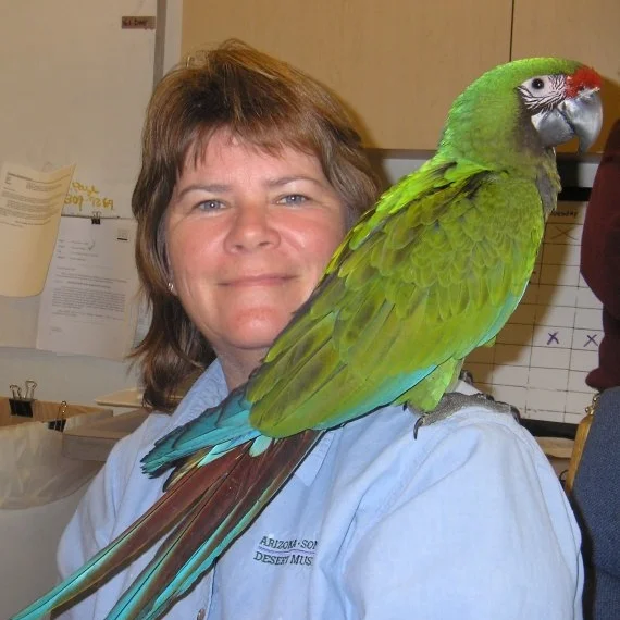 Nancy Biggins — practical art