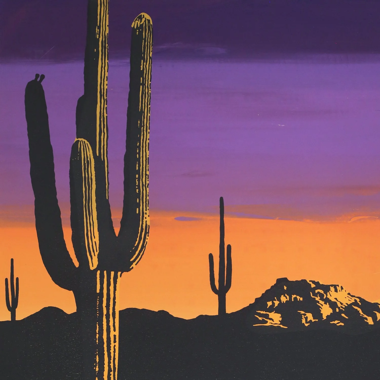 Sonoran Sunset