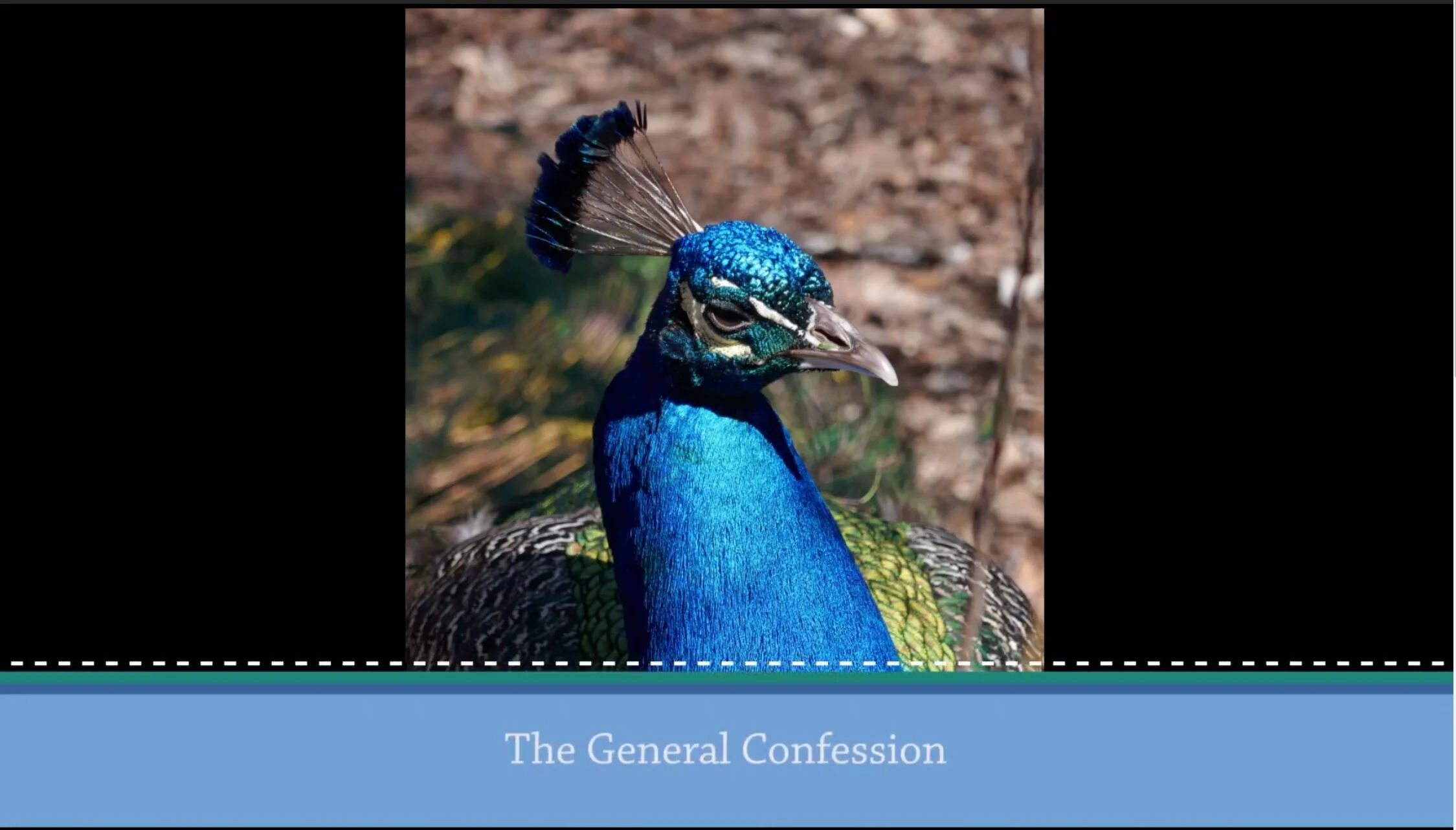 Confession — NEWIM